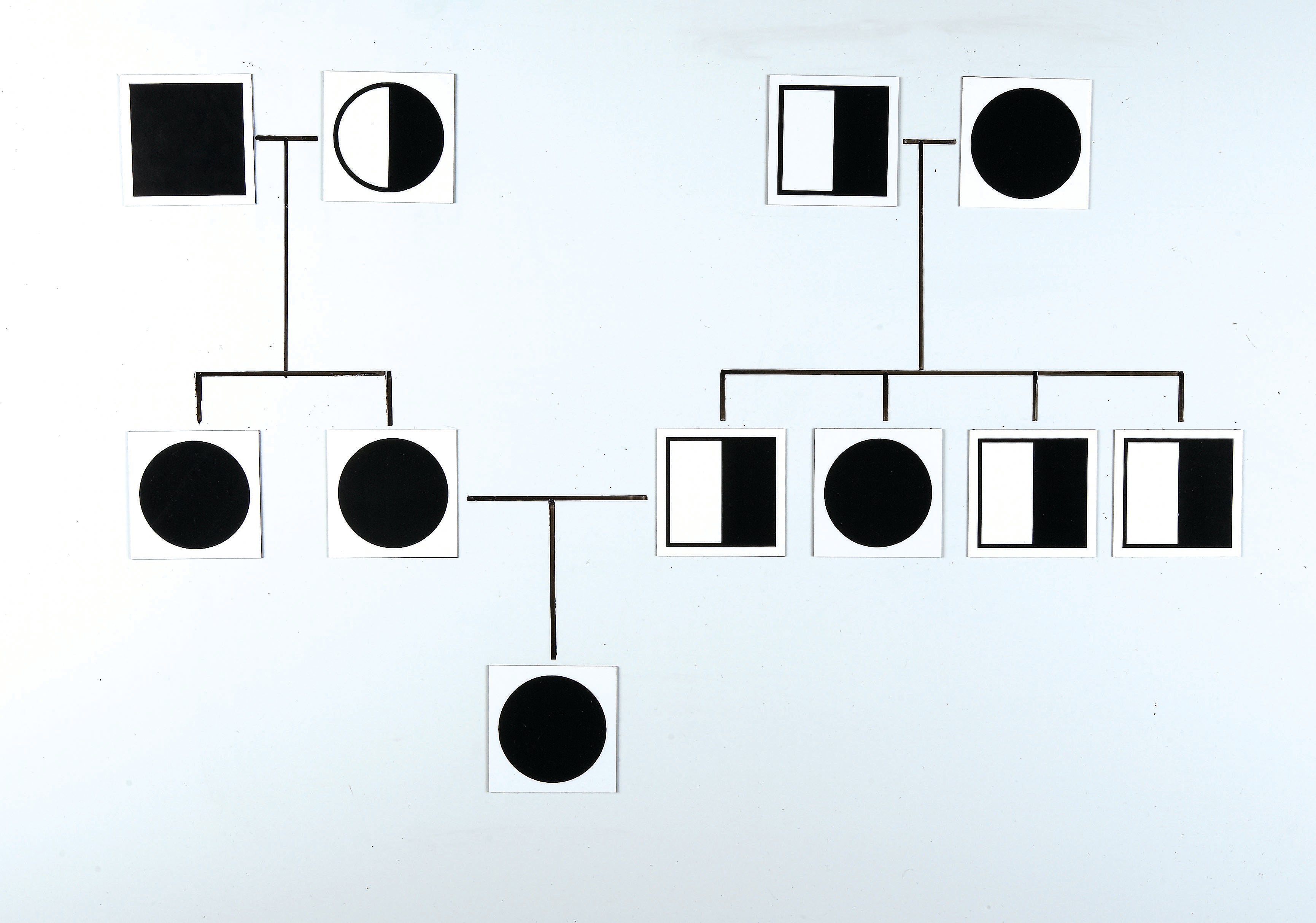 Stick to Science - Genetic Cards